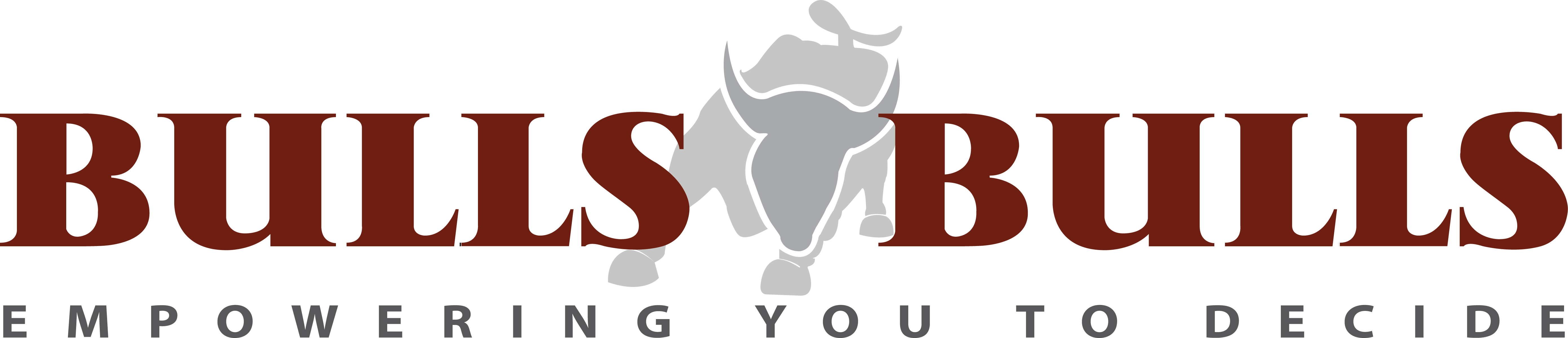 Bulls and Bulls - Empowering You To Decide